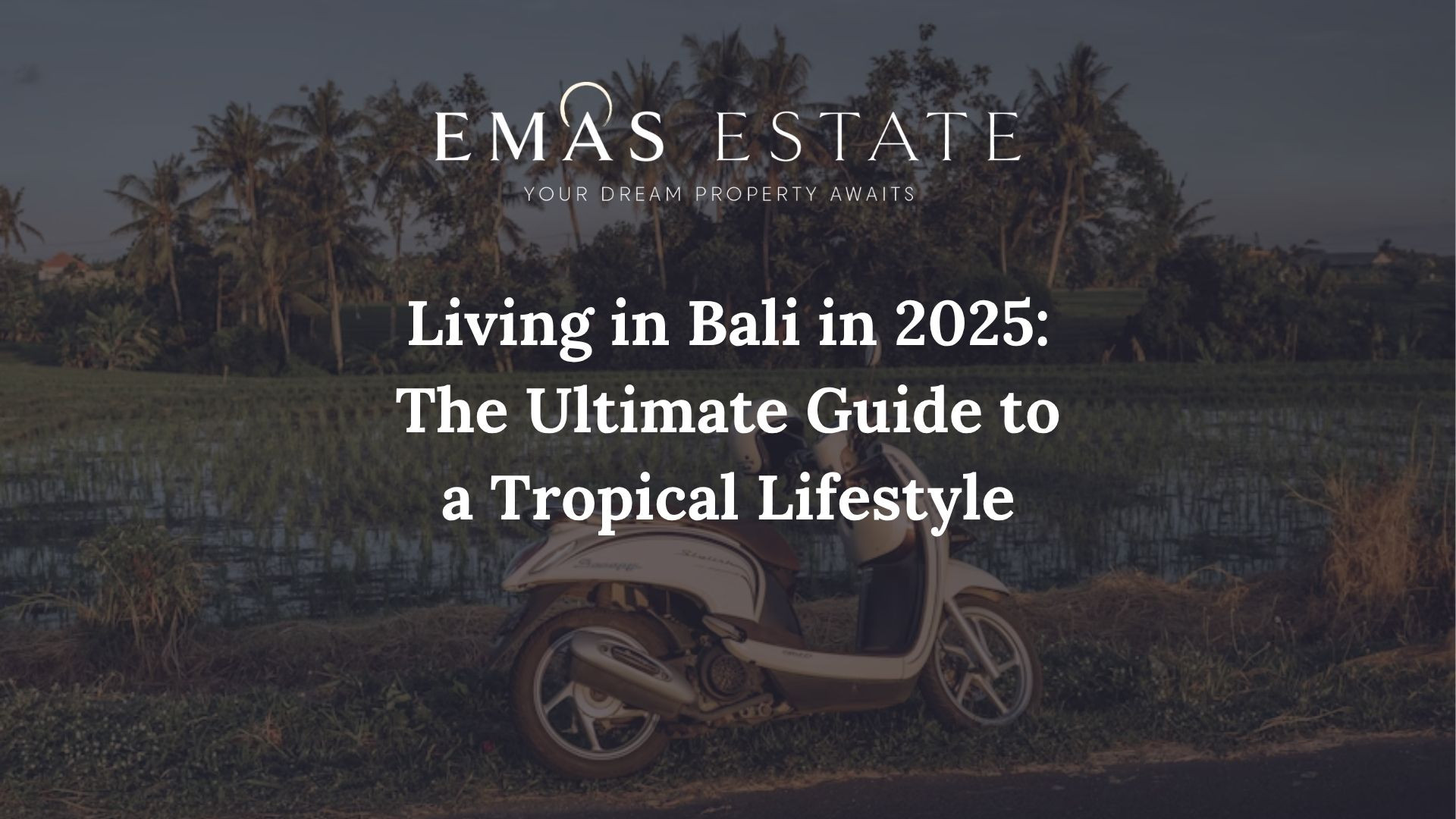 Living in Bali in 2025: The Ultimate Guide to a Tropical Lifestyle ...